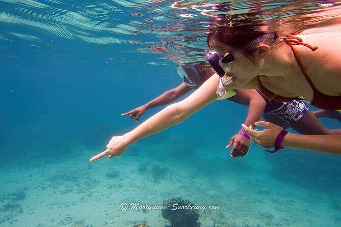 Boat Trip for Snorkeling Discovery of Corals - Key Points