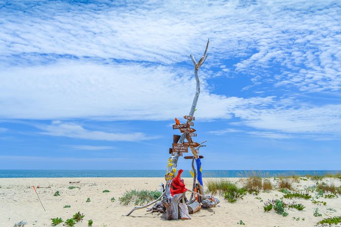 Boat trip from Faro to Ilha Deserta by Ferry - A Practical Take on the Faro to Ilha Deserta Ferry Trip