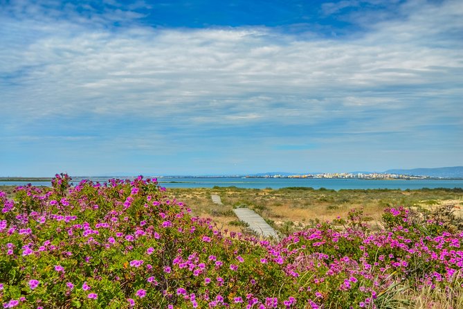 Boat trip from Faro to Ilha Deserta by Ferry - The Sum Up: Who Will Love This Trip?