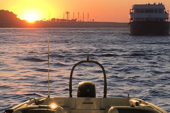 Boat Trip in Douro Porto - What to Expect on the Itinerary