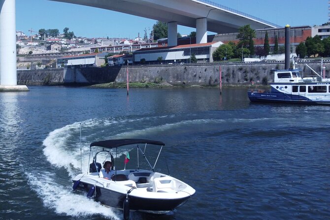 Boat Trip in Douro Porto - How Does It Compare to Other Tours?