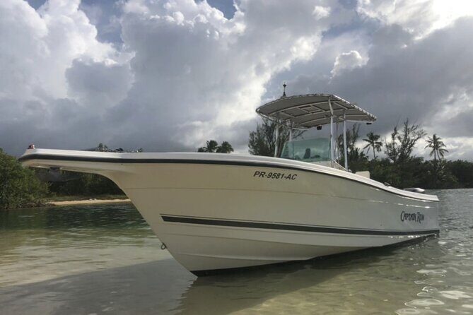 Boat trip in palomino /icacos /fajardo Puerto Rico - Key Points