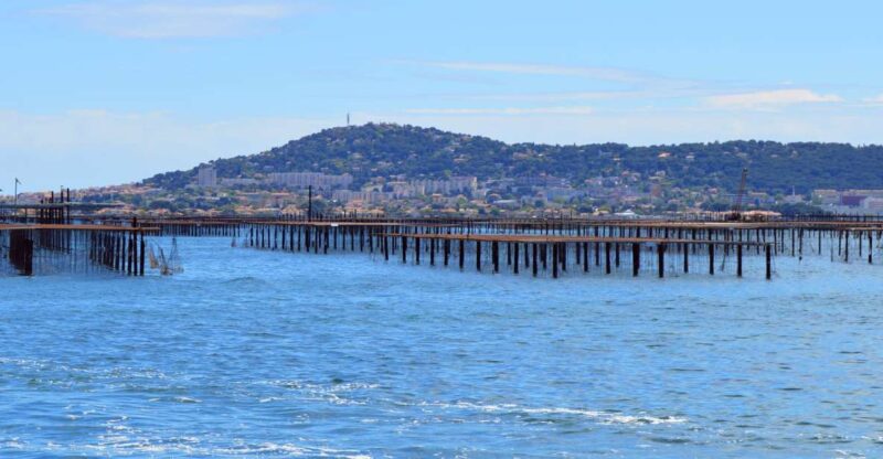 Boat trip in the canals is on the Thau pond - What to Expect on the Tour