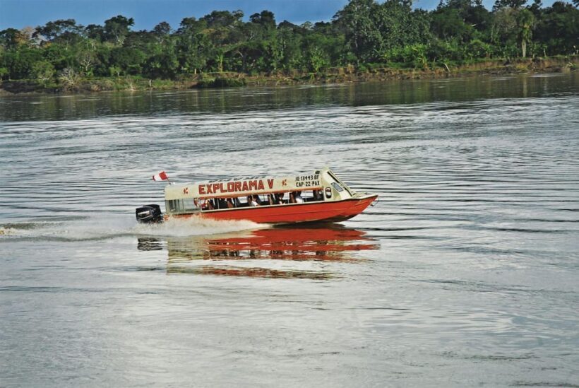 Boat trip on the Amazon and Itaya rivers - The Sum Up