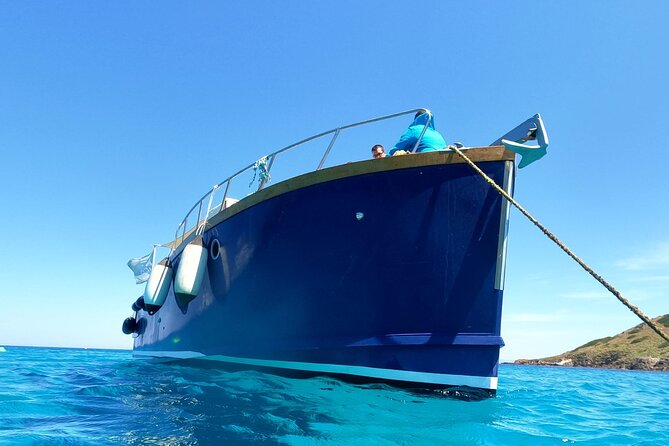 Boat Trip to Asinara With Lunch in Stintino - Traveler Reviews and Recommendations