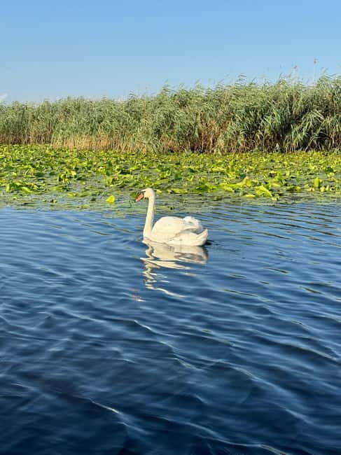 Boat Trip to Caraorman Forest  Danube Delta (67 hours) - Who Is This Tour Best For?