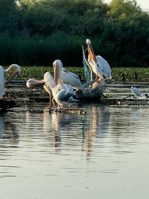 Boat Trip to Caraorman Forest  Danube Delta (67 hours) - The Sum Up