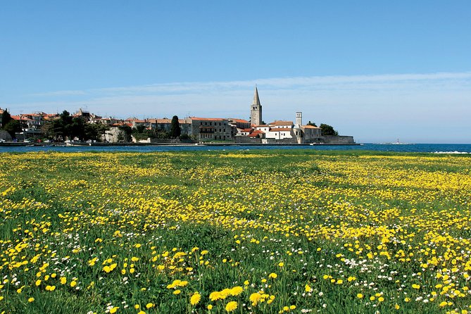 Boat trip to Rovinj and Vrsar from Pore with lunch - Practical Details and What They Mean for You