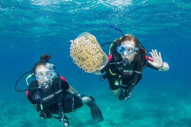 Boat Trip With Guided Snorkeling and Scuba Diving in Chania - Key Points