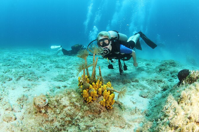Boat Trip With Guided Snorkeling and Scuba Diving in Chania - Snorkeling Adventures in Pristine Waters