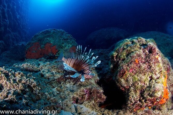Boat Trip With Guided Snorkeling and Scuba Diving in Chania - Gear Provided for a Seamless Experience