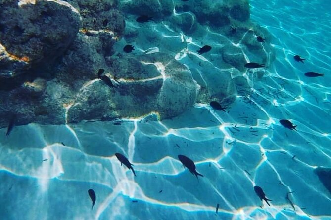 Boat Trips With Zorro - Additional Information