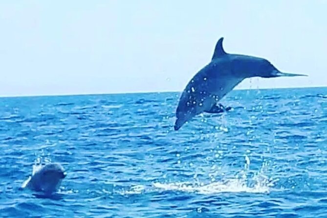 Boat Trips With Zorro - Location and Accessibility