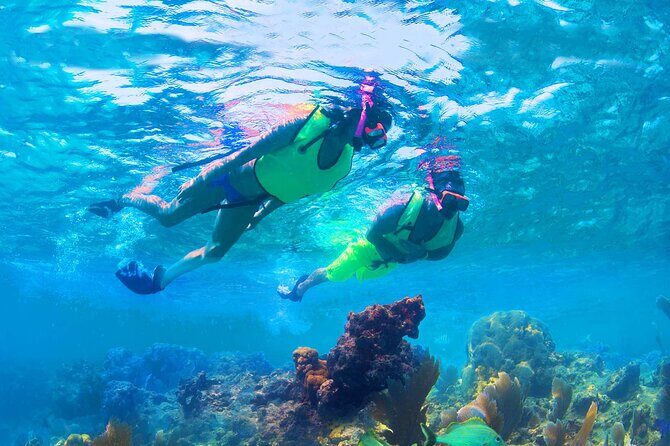 Boat & Yacht Tour Amazing Sandbar Adventure, Water Toys & Snorkel - Value for Money
