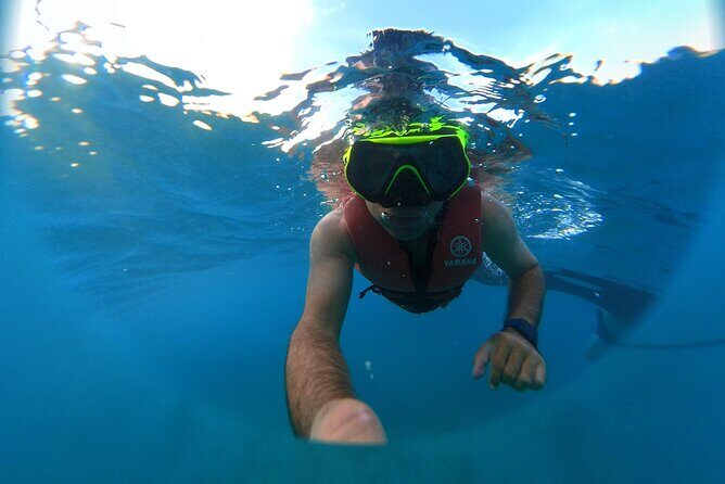 Boat & Yacht Tour Amazing Sandbar Adventure, Water Toys & Snorkel - Who This Tour Is Best For