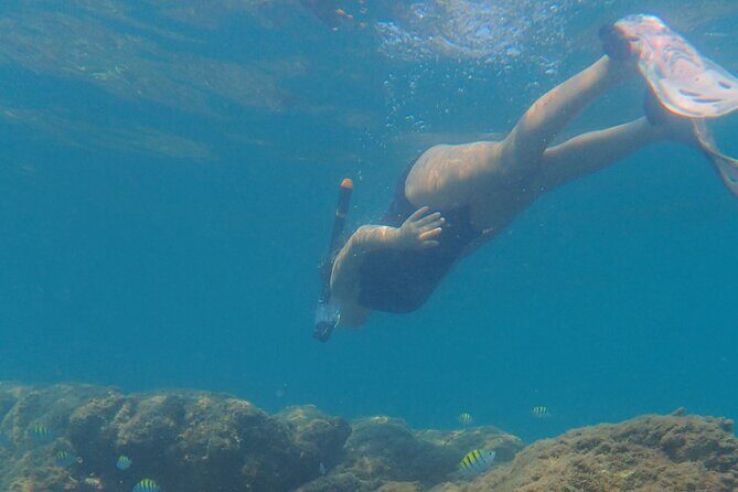 Boating along the coastline of San Carlos with a Marine Biologist - Practical Details for Travelers