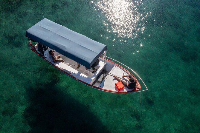 Boating along the coastline of San Carlos with a Marine Biologist - Who Will Love This Tour?