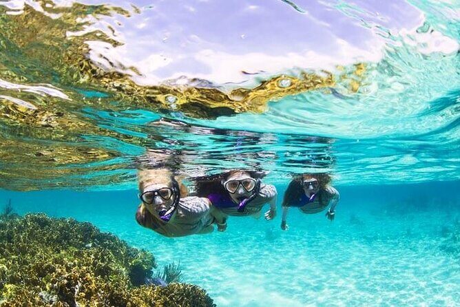 Boatride & Snorkeling then Margaritaville Hipstrip Activity - What to Expect from the Tour