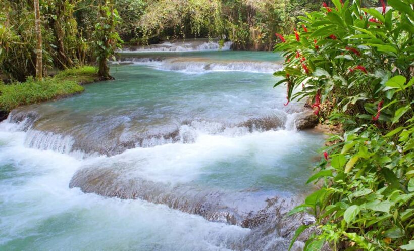 Bob Marley Birthplace and Dunns River Falls Private Tour - A Closer Look at the Tour Experience