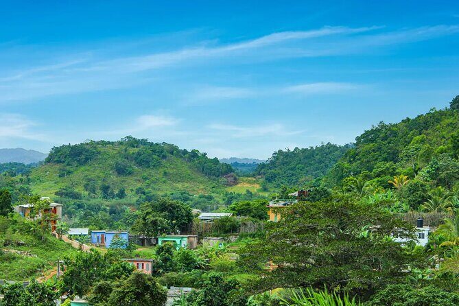 Bob Marley Nine Mile Admission and Guided Tour from Ocho Rios - Who Should Book This Tour?