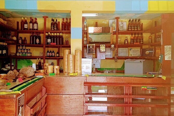 Bob Marley & Nine Mile Heritage Tour with Bus Transfer/Ocho Rios - Who Should Consider This Tour?