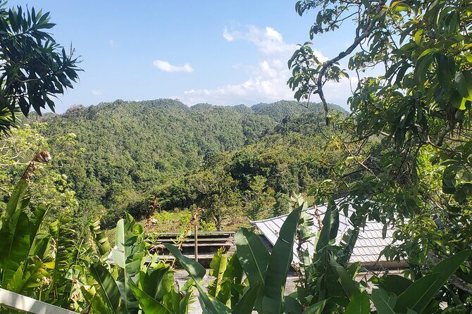 Bob Marley Nine Mile Home Private Tour from Montego Bay - FAQ