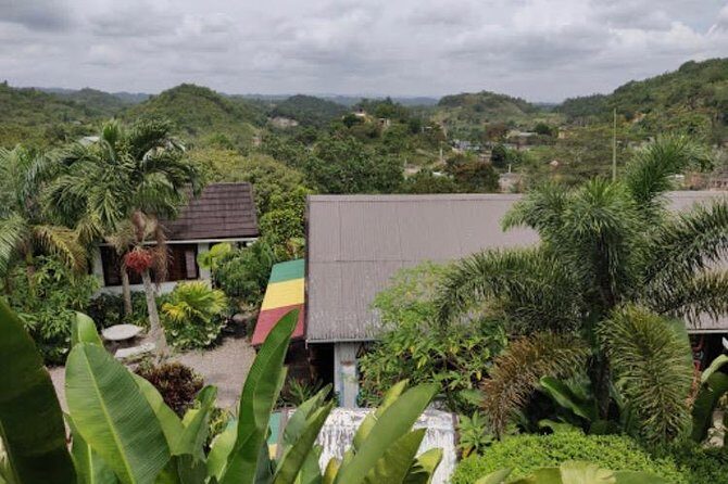 Bob Marley Nine Mile Private Tour - The Tour Breakdown: A Deep Dive