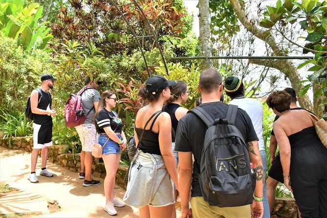 Bob Marley's Nine Mile Day-Trip w/Admission & Guided Tour from Grand Palladium - FAQ