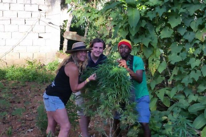 Bob Marley's Nine Mile & Dunns River Falls Tour: Transportation & Ticket - FAQs