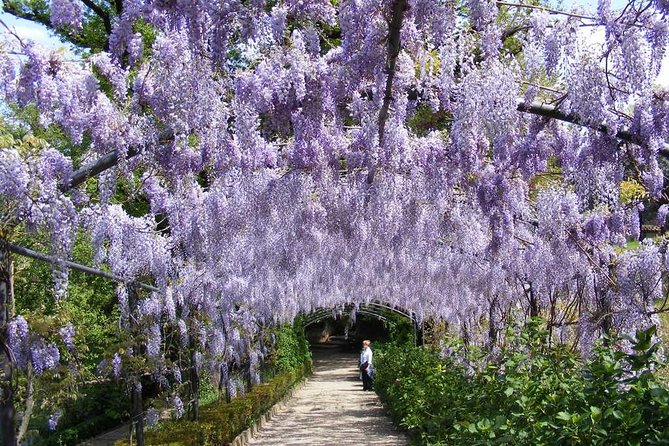 Boboli Garden Tour in Florence - Cancellation and Weather Policy