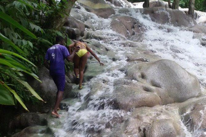 Bobsled Mystic Mountain - Dunn's river - Bob Marley From Ocho Rios - Practical Insights