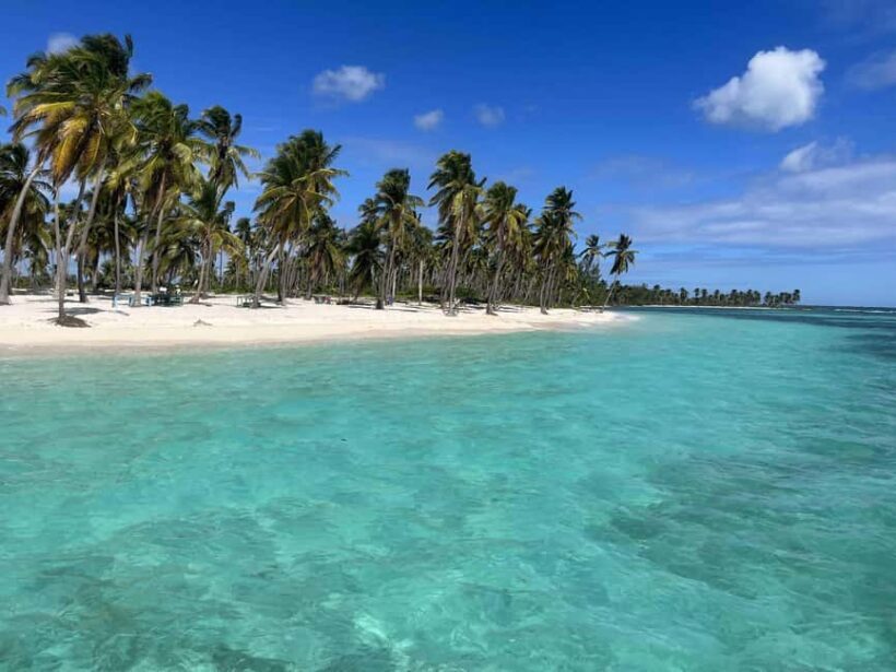 Boca Chica: Saona Island Full-Day Tour with Lunch - Practical Considerations