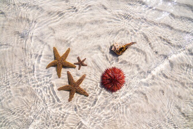Boca Grande Kayaking Tour - Key Points