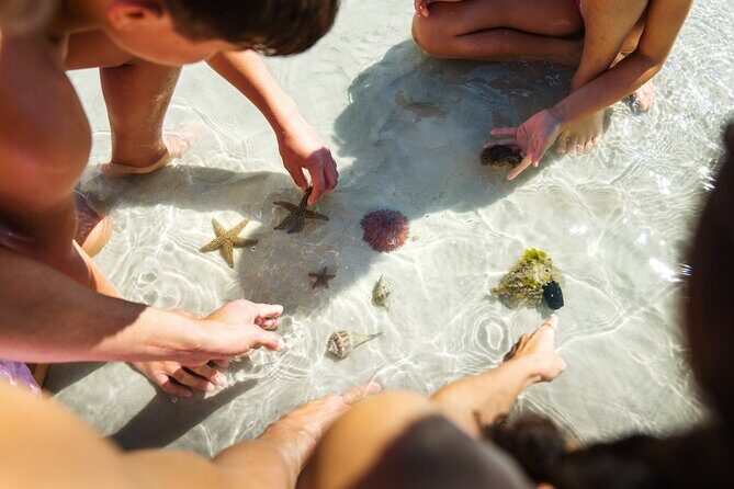 Boca Grande Kayaking Tour - FAQ