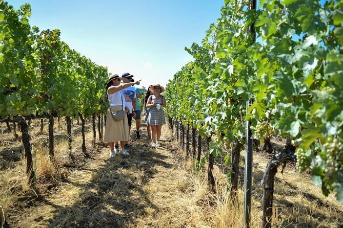 Bocelli Backstage And Wine Day Tour from Florence - Key Points