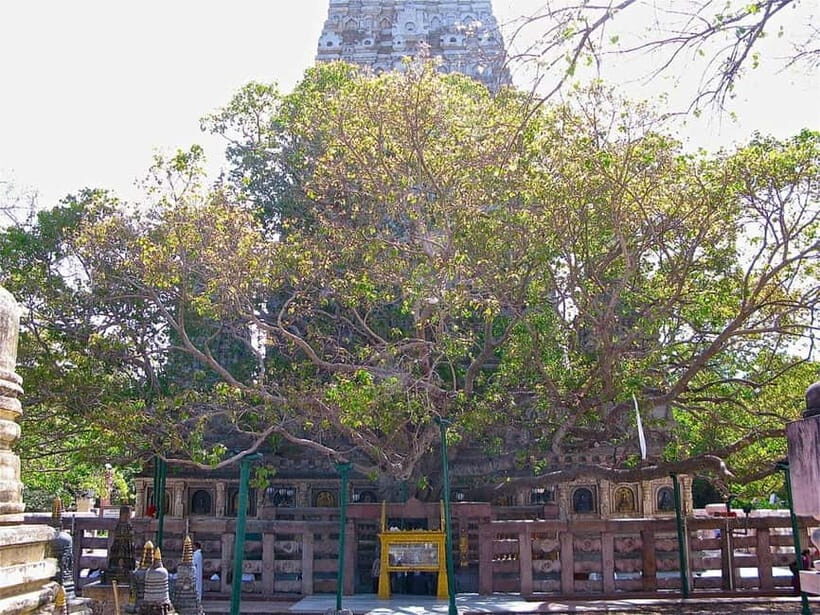 BODHGAYA FULL DAY TOUR - Introduction: What to Expect from This Tour