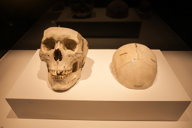 Bodies The Exhibition at the Luxor Hotel and Casino - Visitor Experience