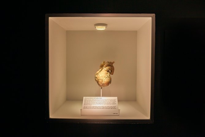 Bodies The Exhibition at the Luxor Hotel and Casino - Booking Information