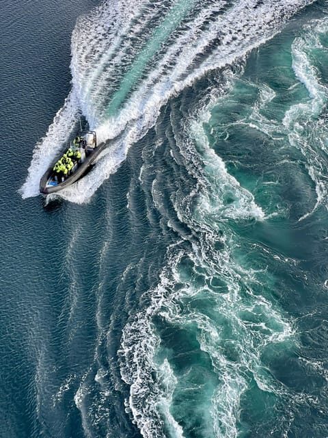 Bodø: Saltstraumen RIB Safari - Key Points