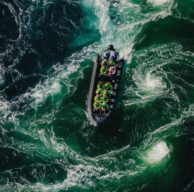 Bodø: Saltstraumen Sea Eagle Trip by RIB - Key Points