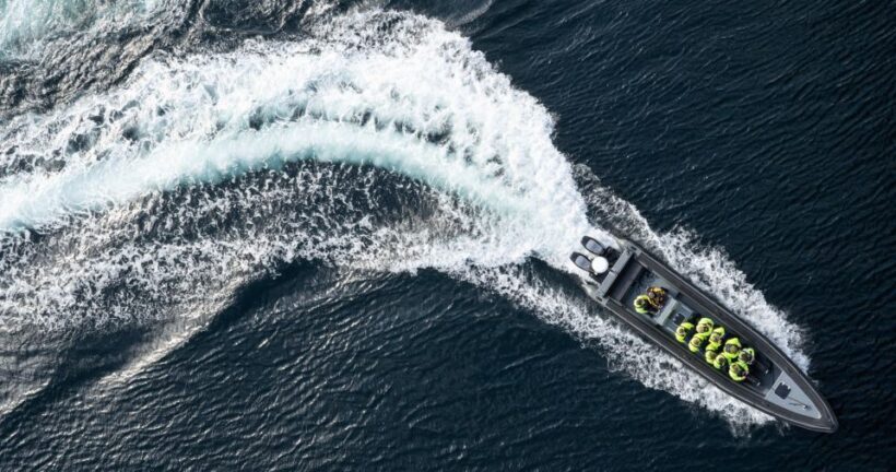 Bodø: Saltstraumen Sea Eagle Trip by RIB - An In-Depth Look at the Saltstraumen Sea Eagle Trip