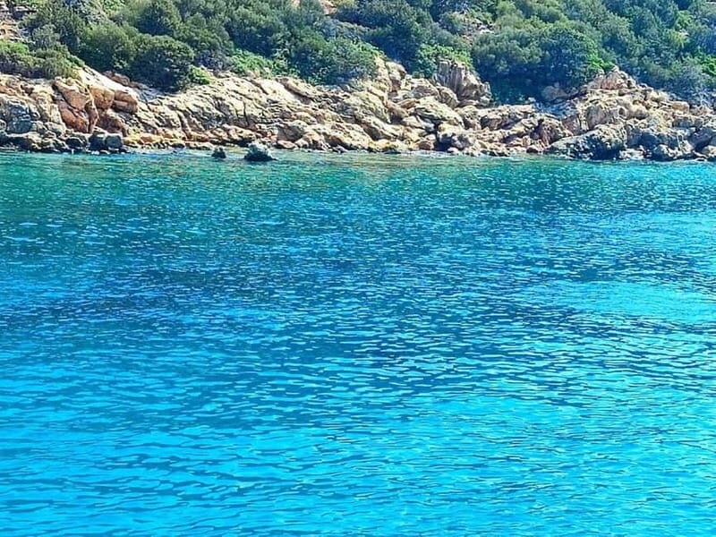 Bodrum Bays Private Boat tour with swimming stops - Frequently Asked Questions