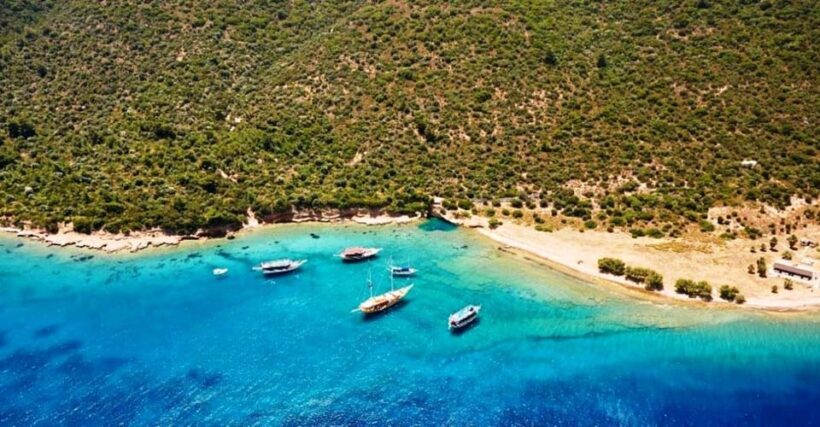 Bodrum Boat Tour with Lunch: Beaches and Islands - Who Would Love This Experience?