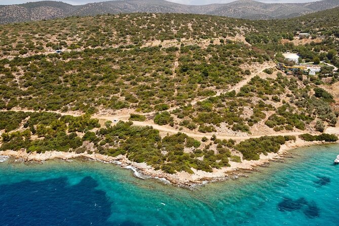 Bodrum Boat Trip With Lunch 11:00 to 17:00 - Customer Reviews and Feedback