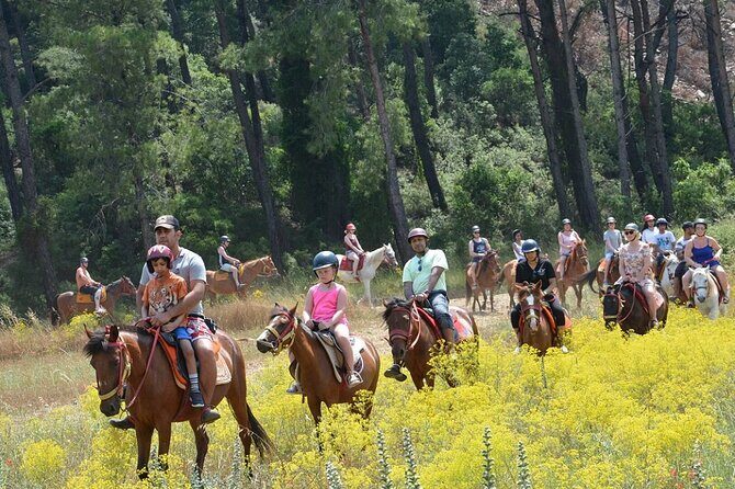 Bodrum Horse Riding Experience w/ Hotel Transfer Service - Key Points