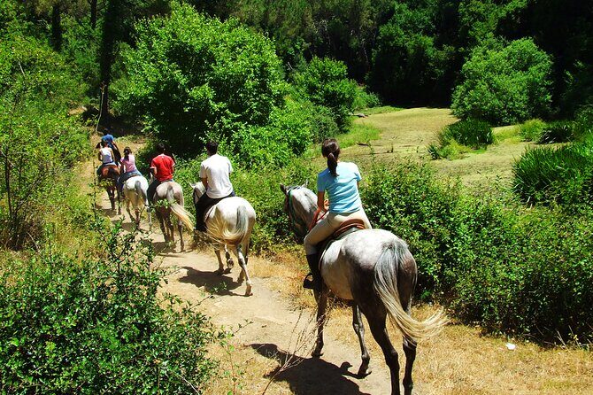 Bodrum Horse Riding Experience w/ Hotel Transfer Service - An Overview of the Bodrum Horse Riding Tour