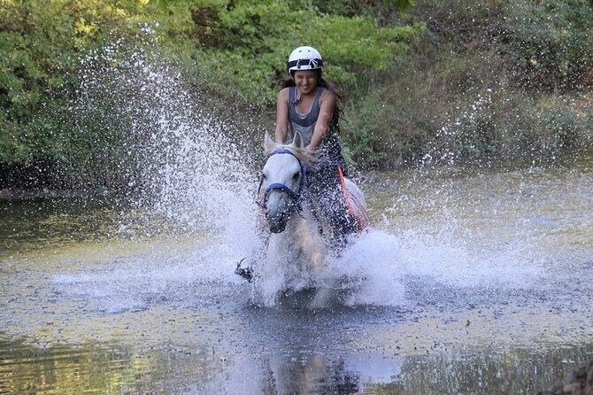 Bodrum Horse Riding Experience w/ Hotel Transfer Service - Who Will Love This Tour?