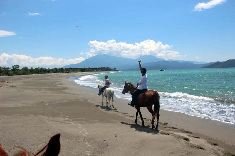 Bodrum: Horseback Riding Experience - Authentic Reviews and Insights