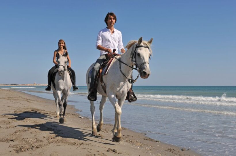 Bodrum: Horseback Riding Experience - The Sum Up