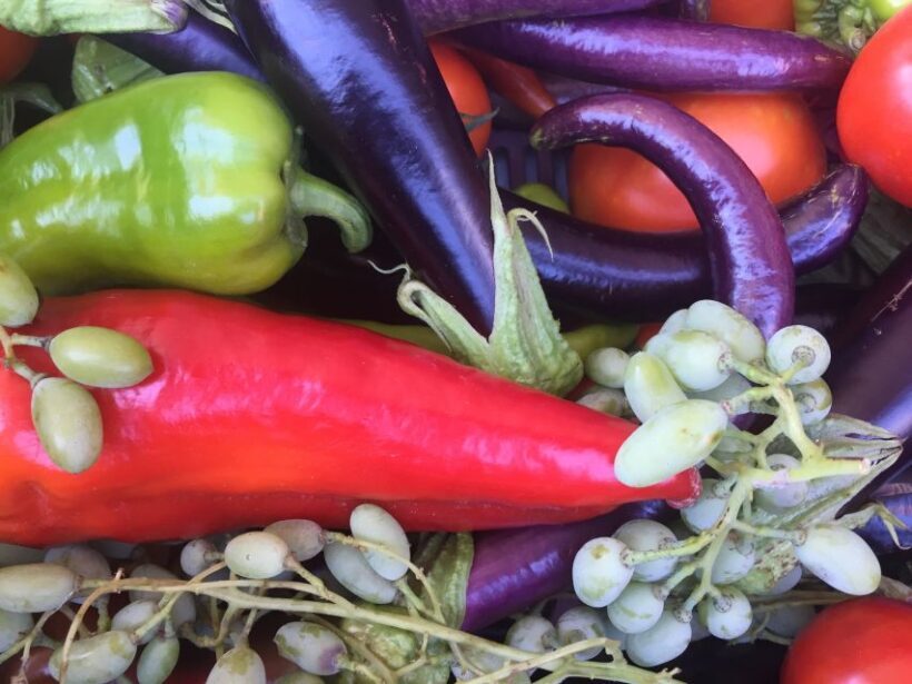 Bodrum: Market Visit and Cooking Class - A Deep Dive into the Bodrum Market Visit and Cooking Class